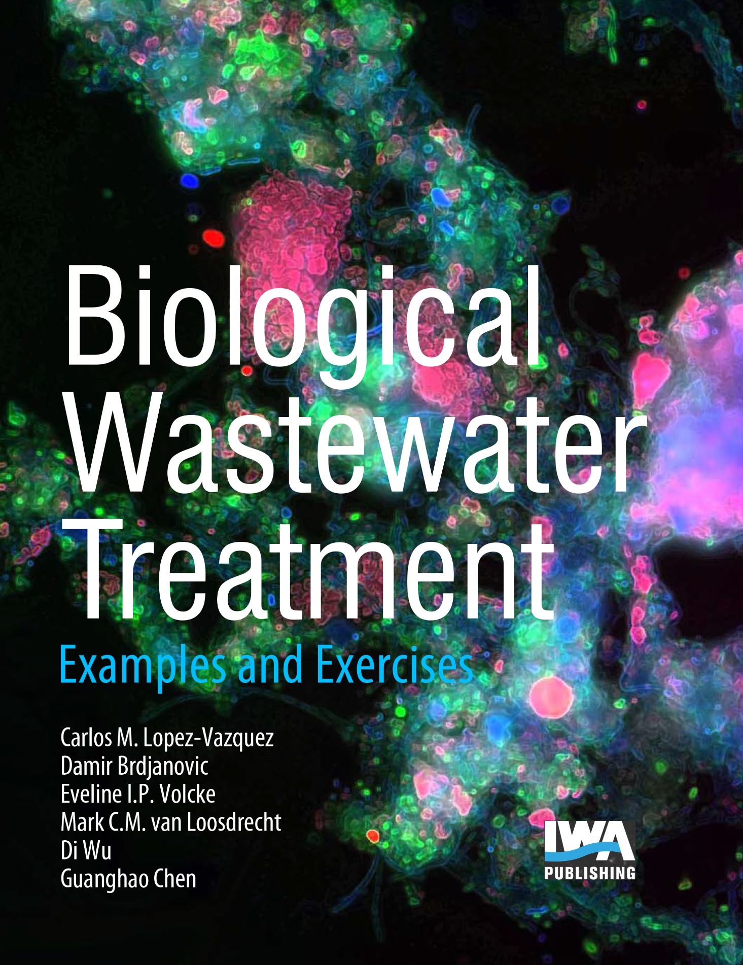 New book: Examples and exercises for biological wastewater treatment ...
