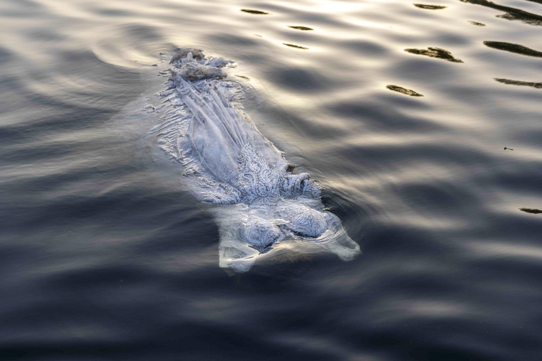 Rethinking water with artists and museums: Talk and Exhibition | IHE ...