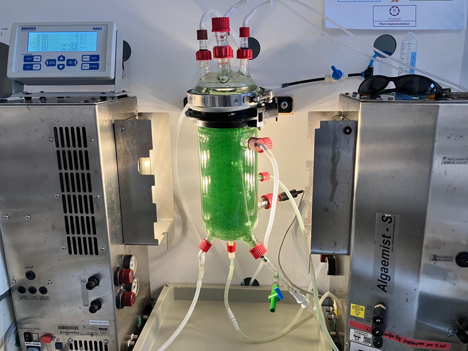 New Algae Lab: research focussed on resource recovery in the water ...