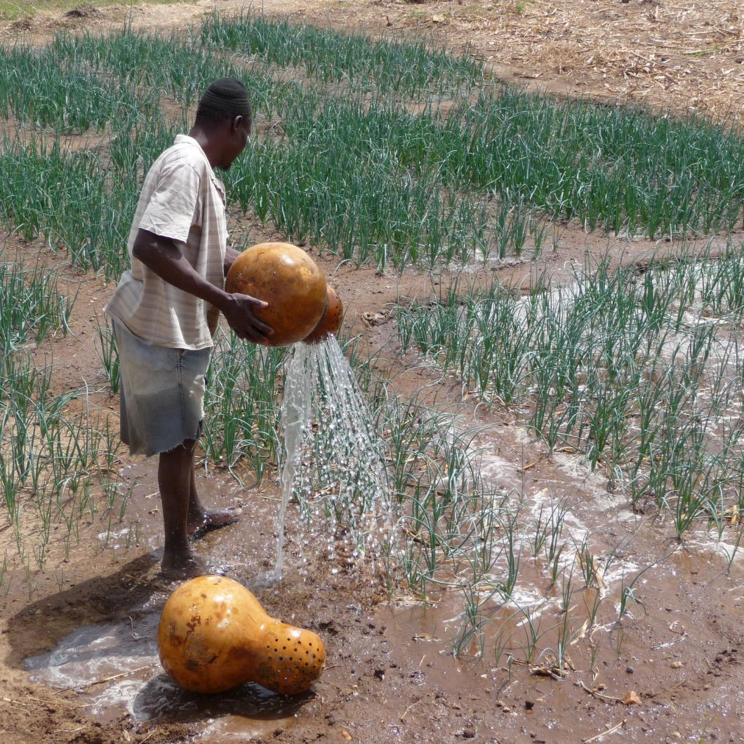 Joint Japan World Bank Graduate Scholarship | IHE Delft Institute for ...