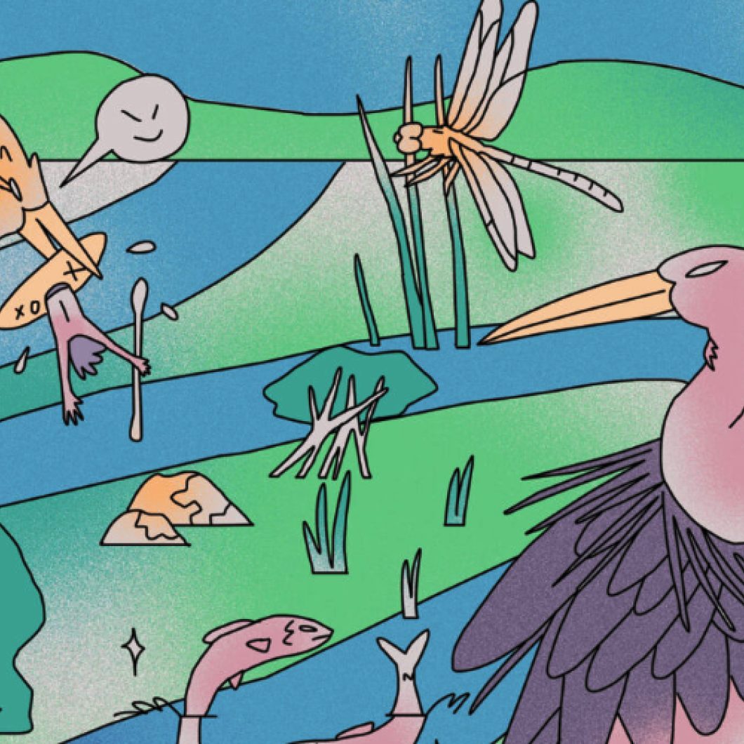 Join Home River Bioblitz: biodiversity in and around freshwater ...