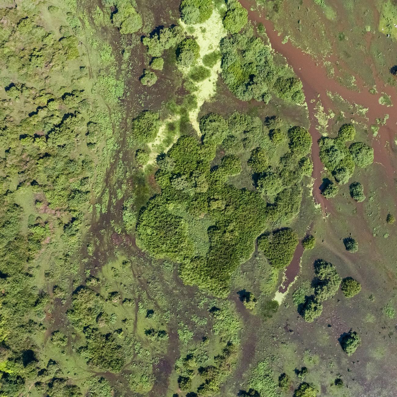 MSc Programme in Water and Sustainable Development | IHE Delft ...