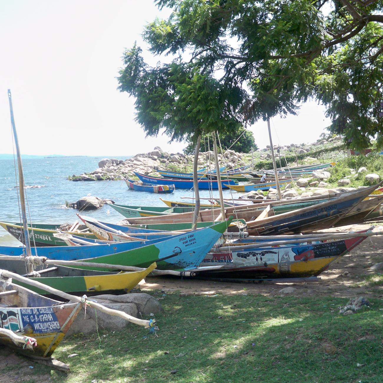 Sustainable freshwater resources and ecosystems | IHE Delft Institute ...