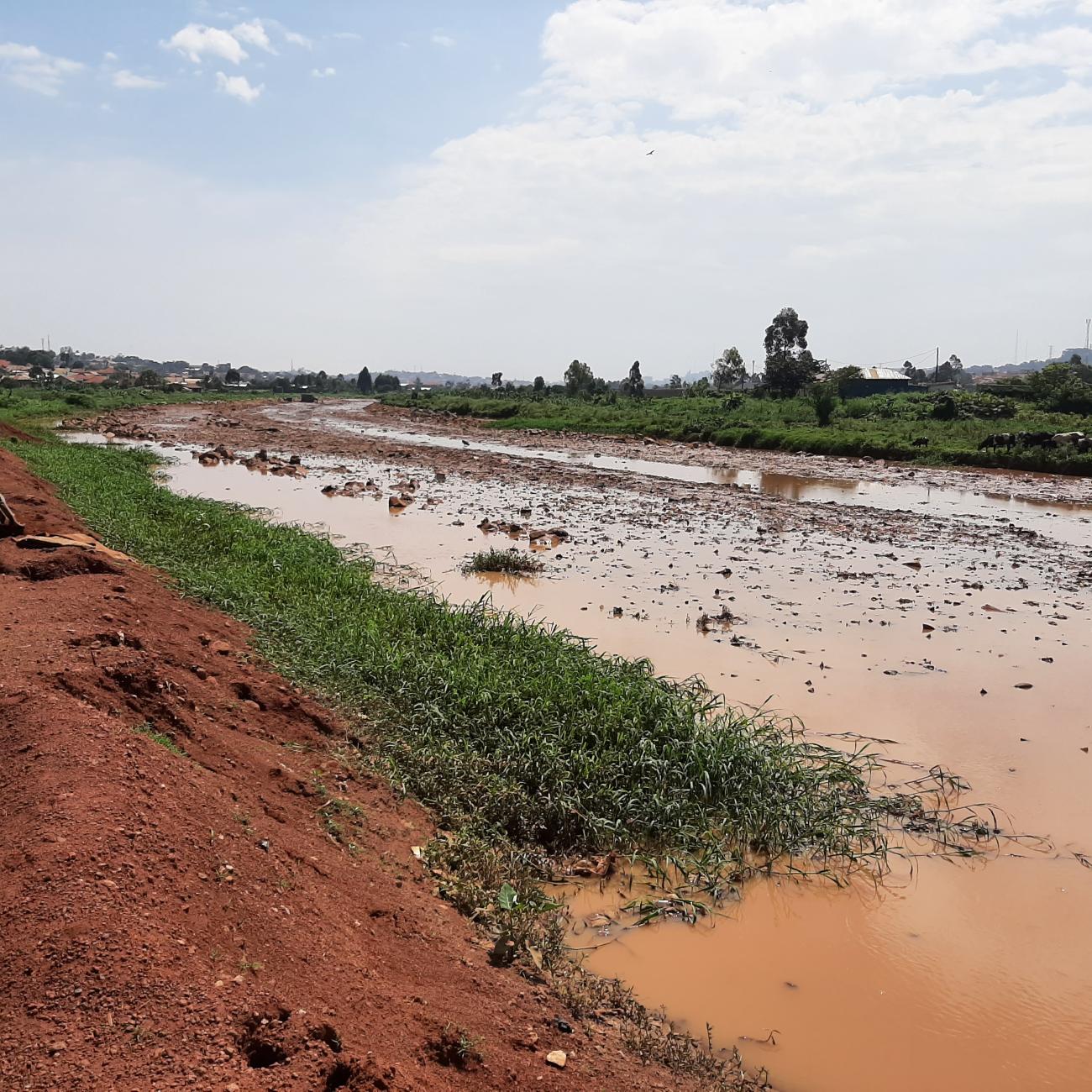 IHE Delft and FAO launch online course on Environmental Flow ...