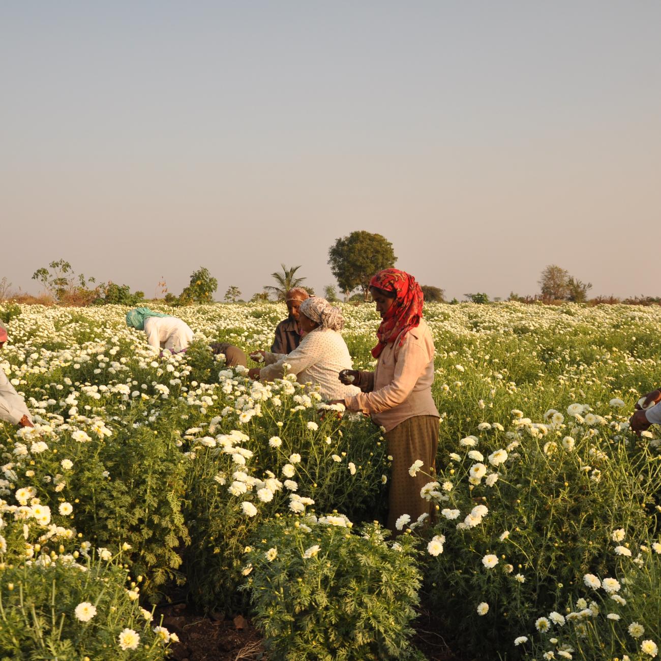 About the programme | IHE Delft Institute for Water Education