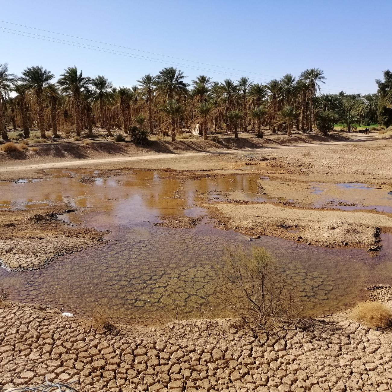 Water and Development Partnership Programme | IHE Delft Institute for ...