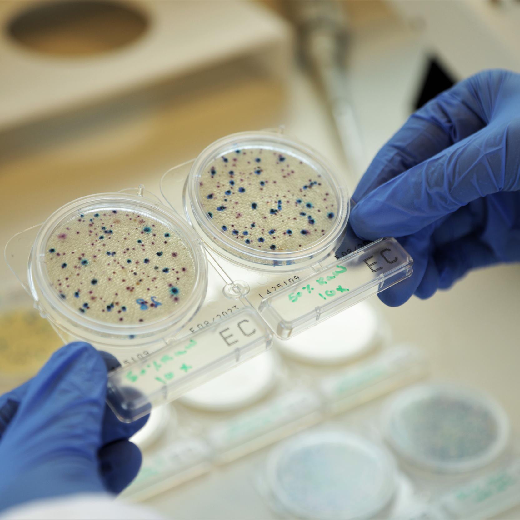 International day of women and girls in science: coaching our students ...