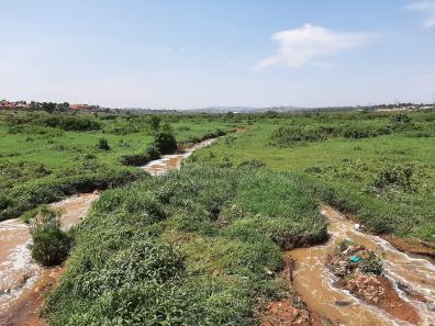 World Wetland Day: it’s time for wetlands restoration | IHE Delft ...